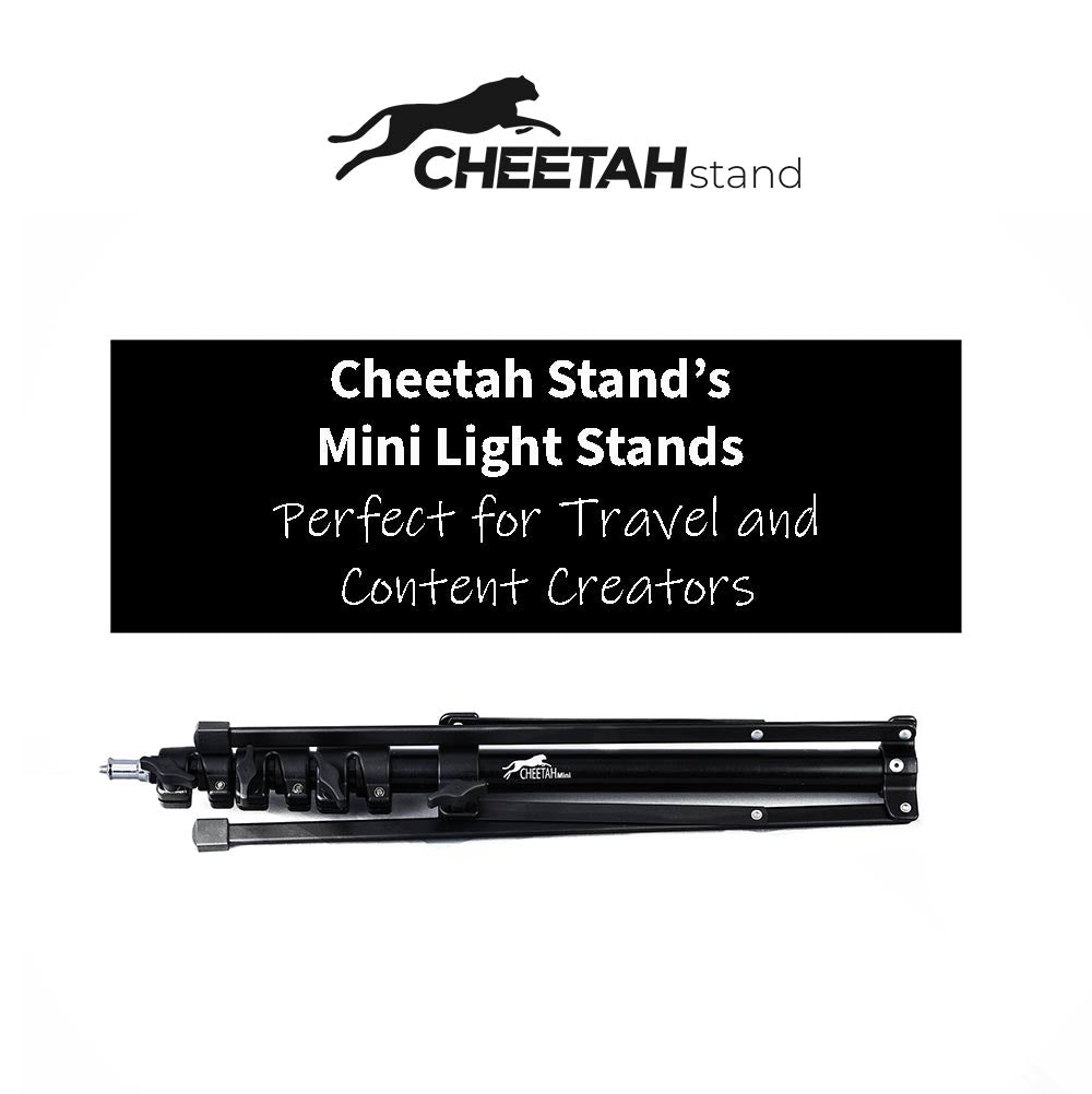News – Cheetah Stand