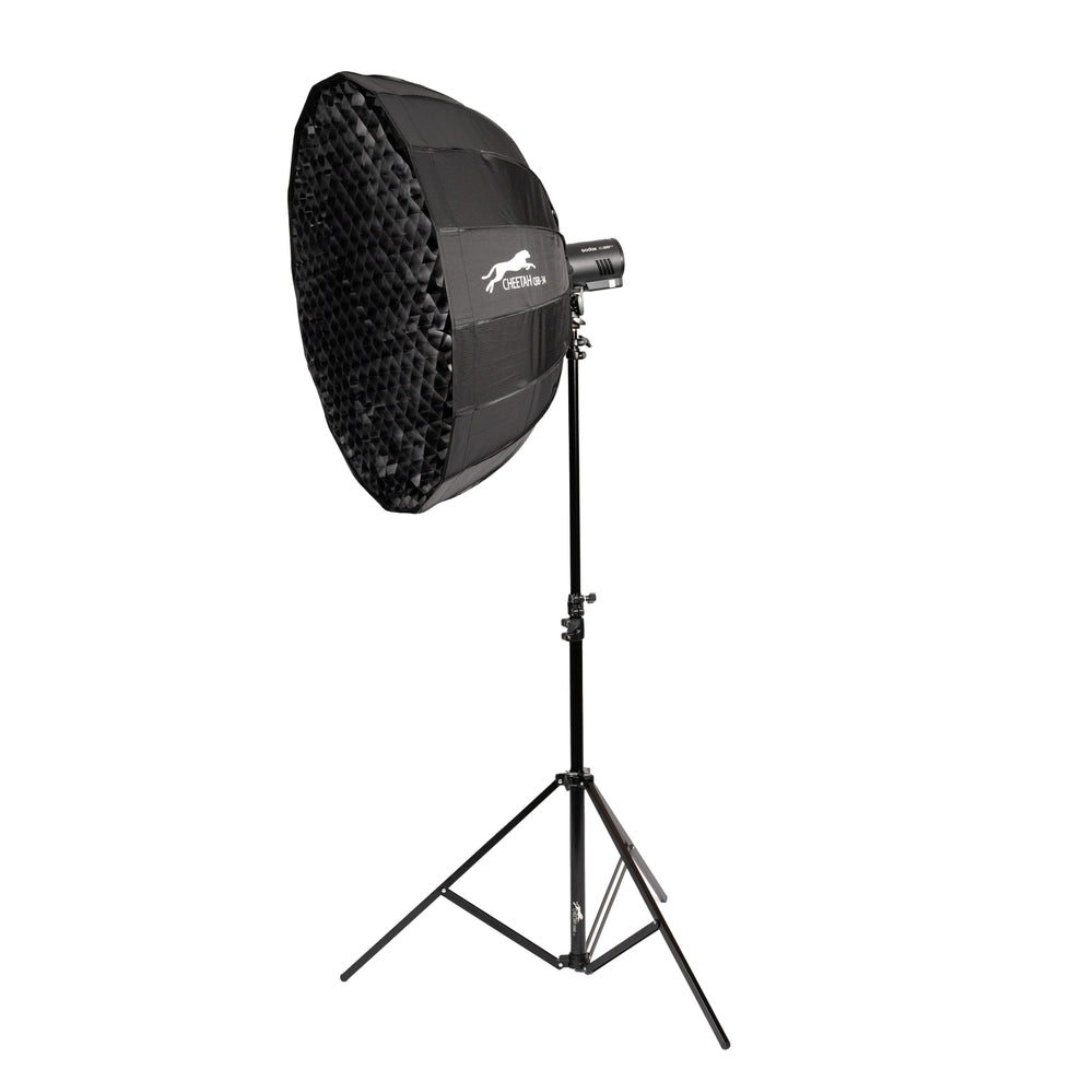 Francisco Hernandez Master Creator Kit – Cheetah Stand