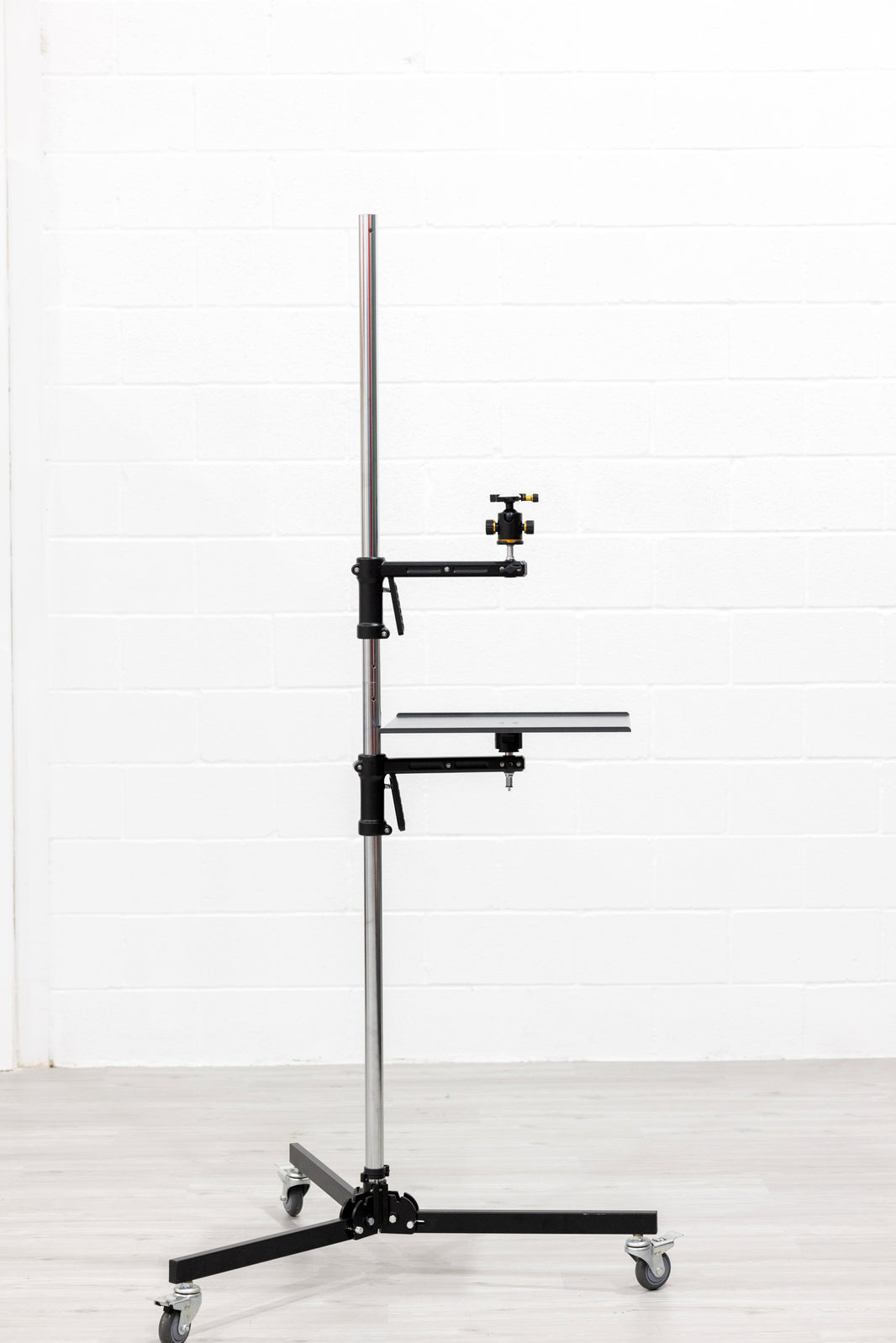 Cheetah Stand – Cheetah Stand