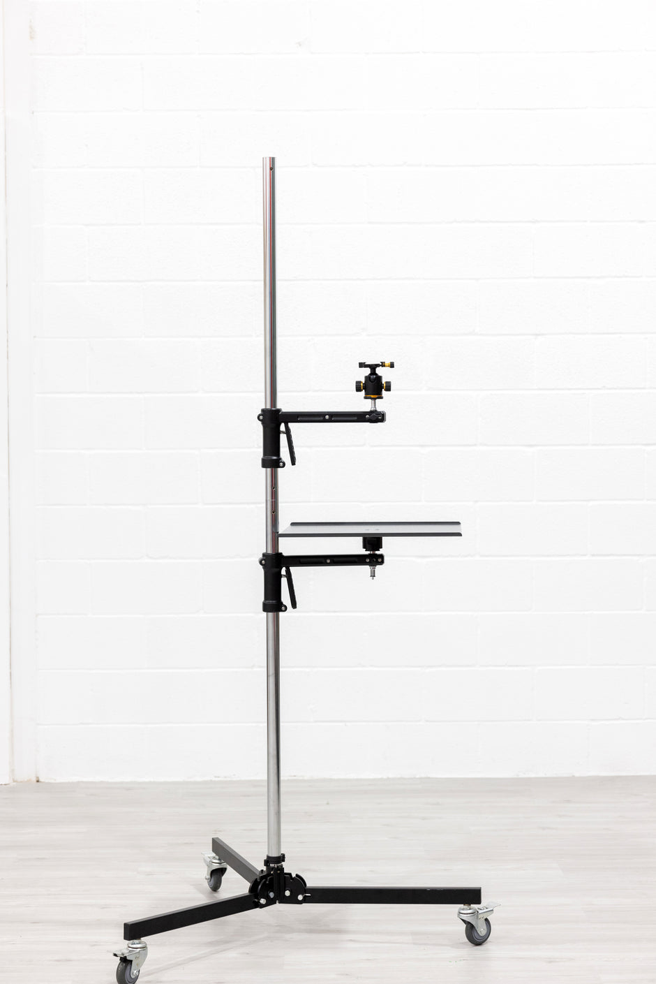 Cheetah Stand – Cheetah Stand