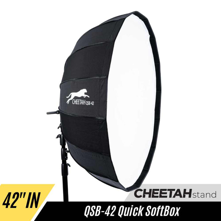 Cheetah Stand – Cheetah Stand