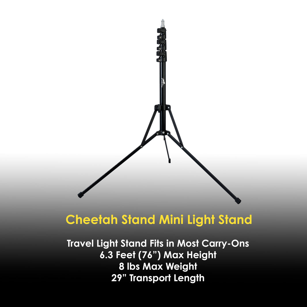 Cheetah Stand – Cheetah Stand