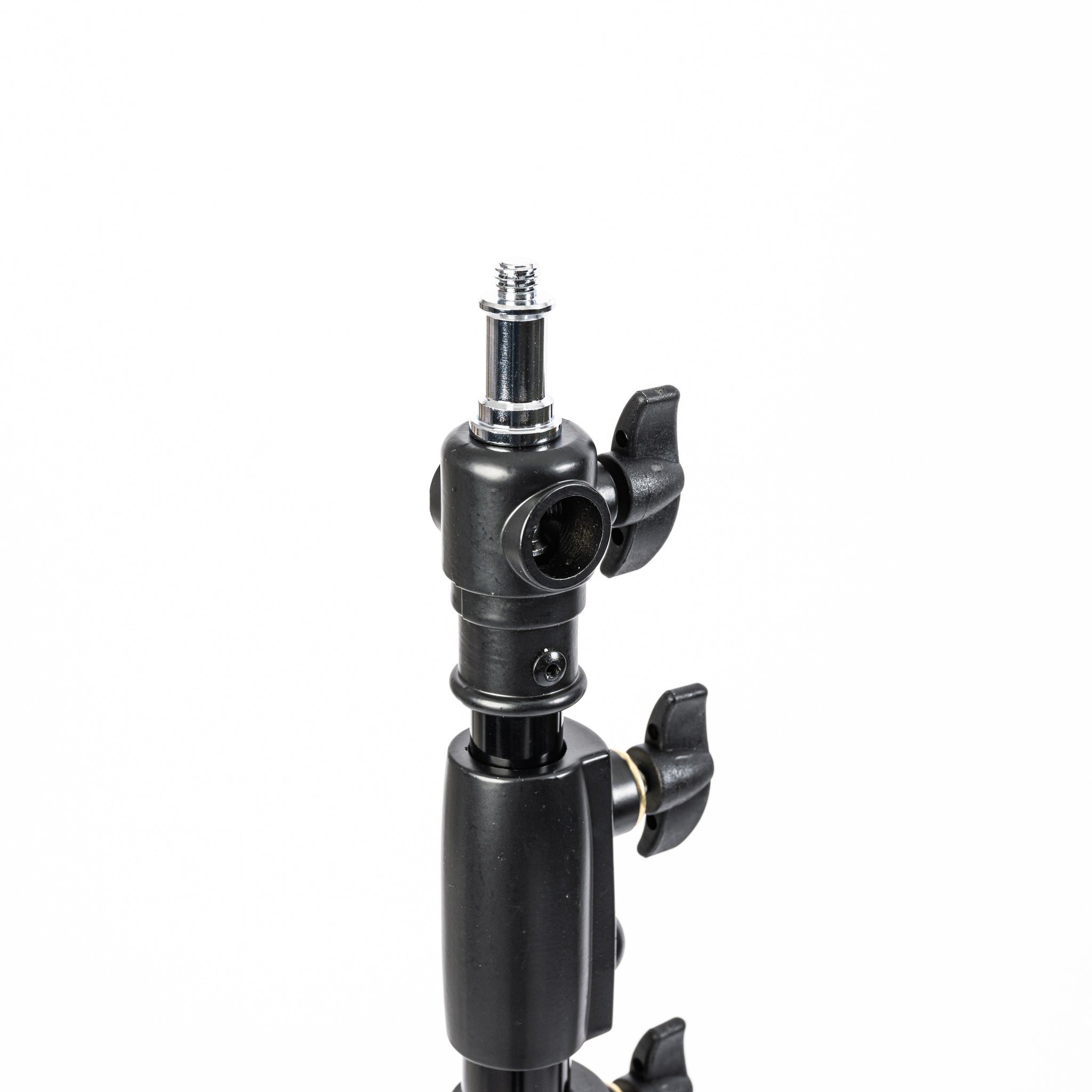 C12#N# – Cheetah Stand