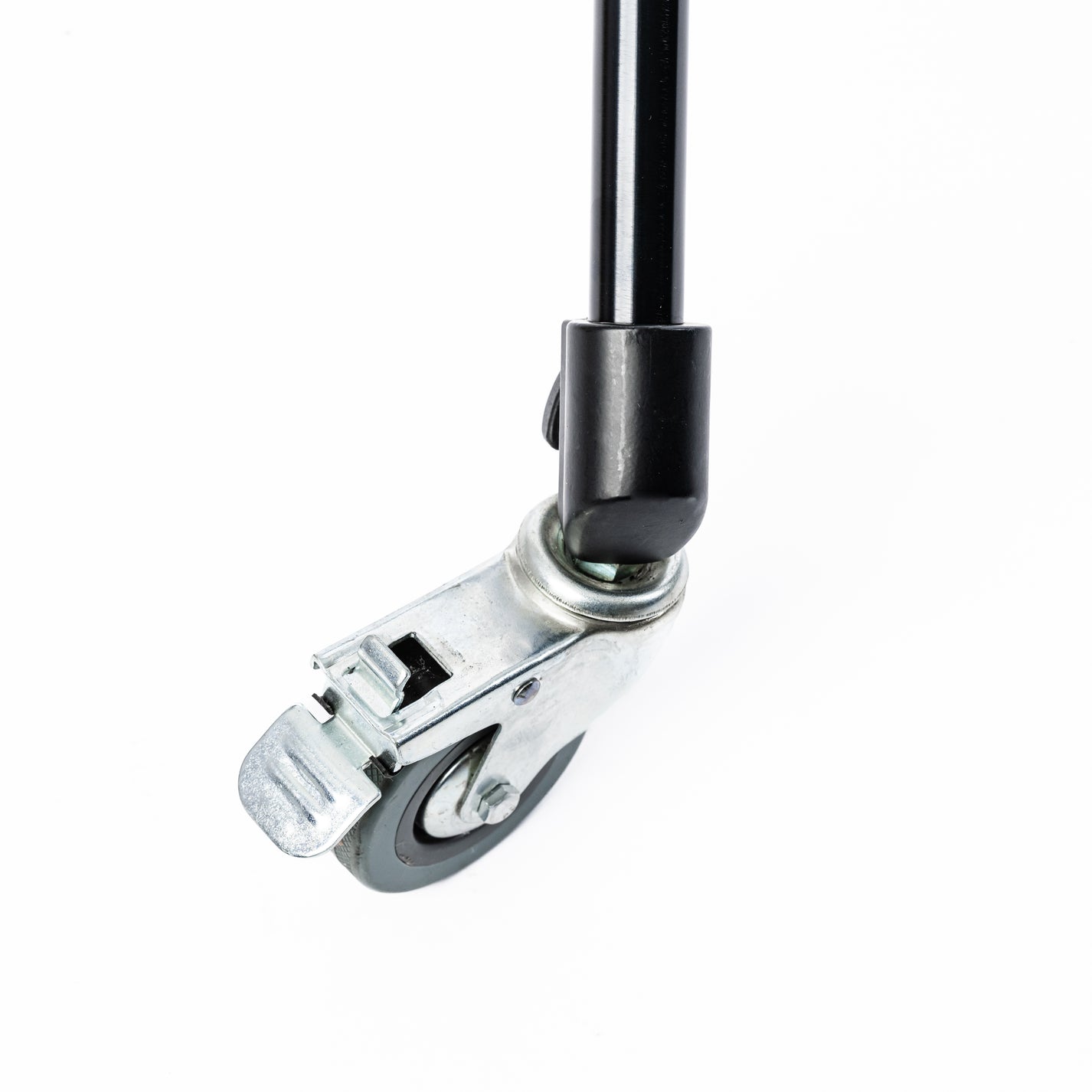 Cheetah Stand Caster set